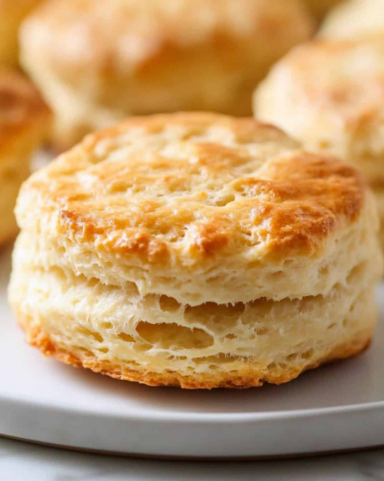 Easy Homemade Biscuits Recipe - Yumyy